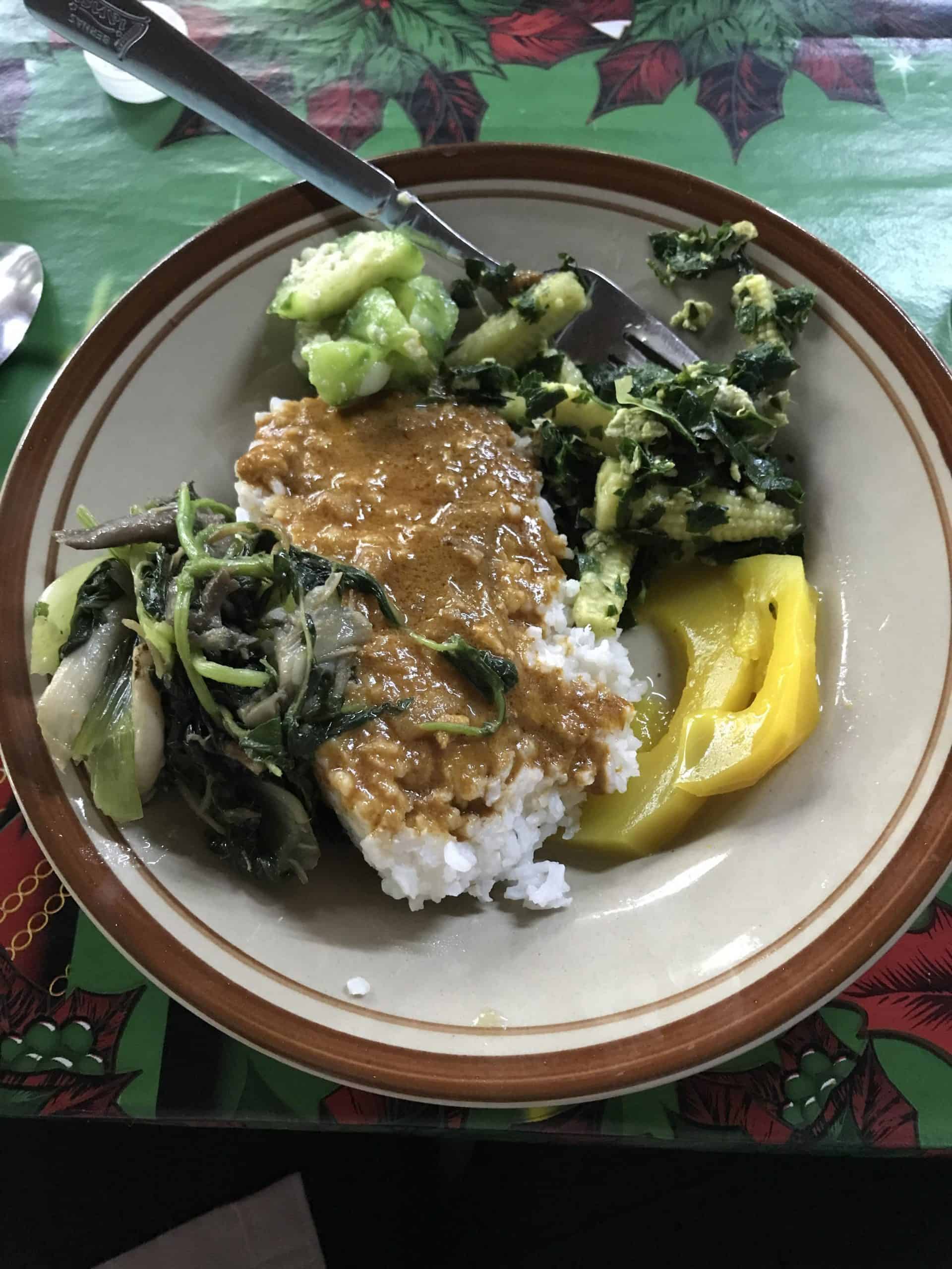 Saloma Village Stay: Authentic Borneo Day Trip Review