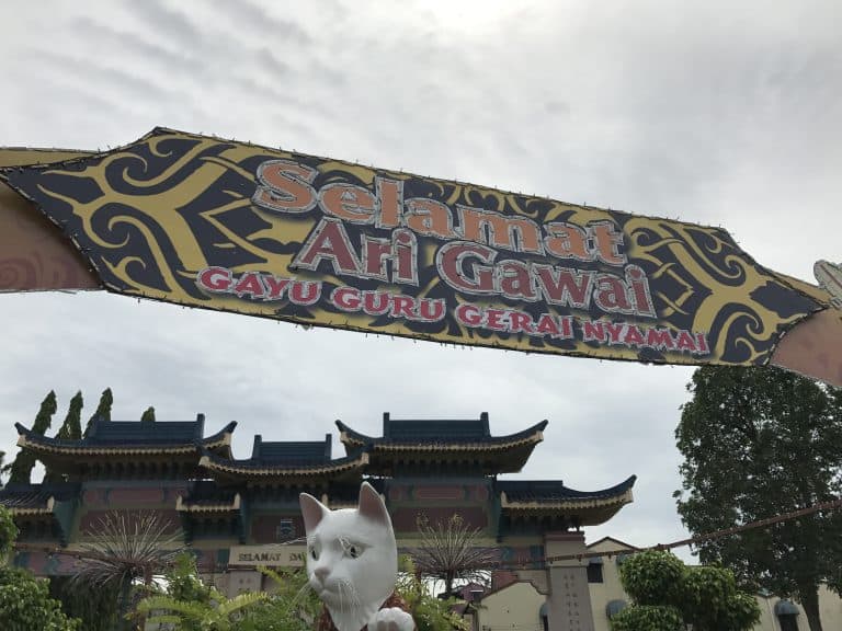 9 Best Things to Do in Kuching Malaysia with Kids - Semi-Budget Travel®