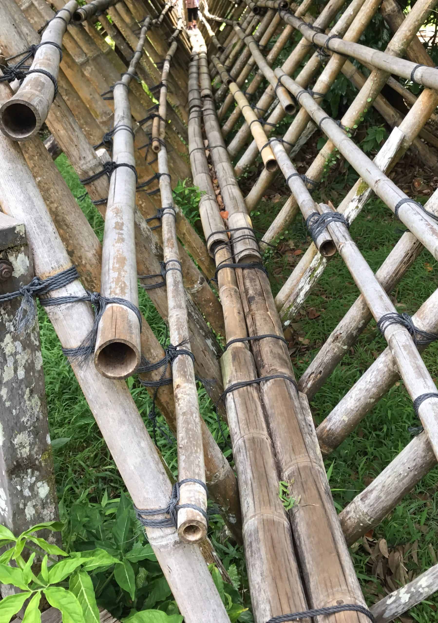 9 Best Things to Do in Kuching Malaysia with Kids - Semi-Budget Travel®