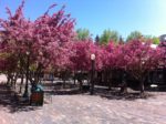 Things to Do in Aspen in May: Spring Adventures in CO