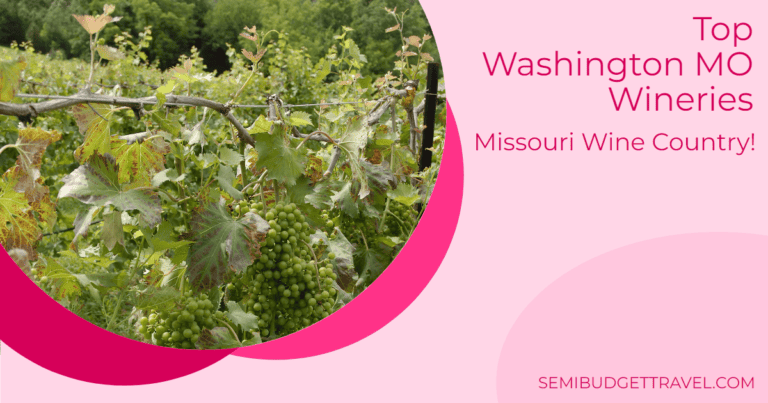 13 Top Washington MO Wineries - Missouri Wine Country!