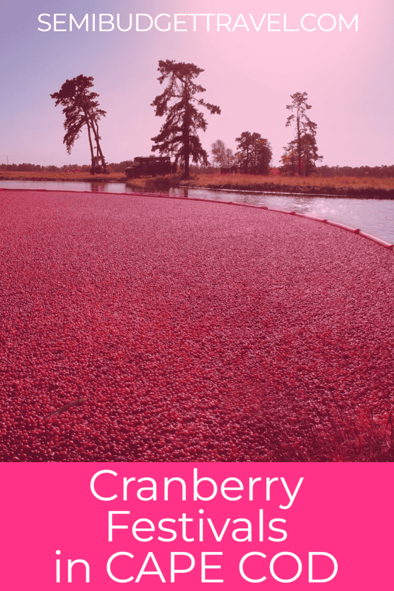 Cranberry Festivals Cape Cod: A Harvest of Family Fun