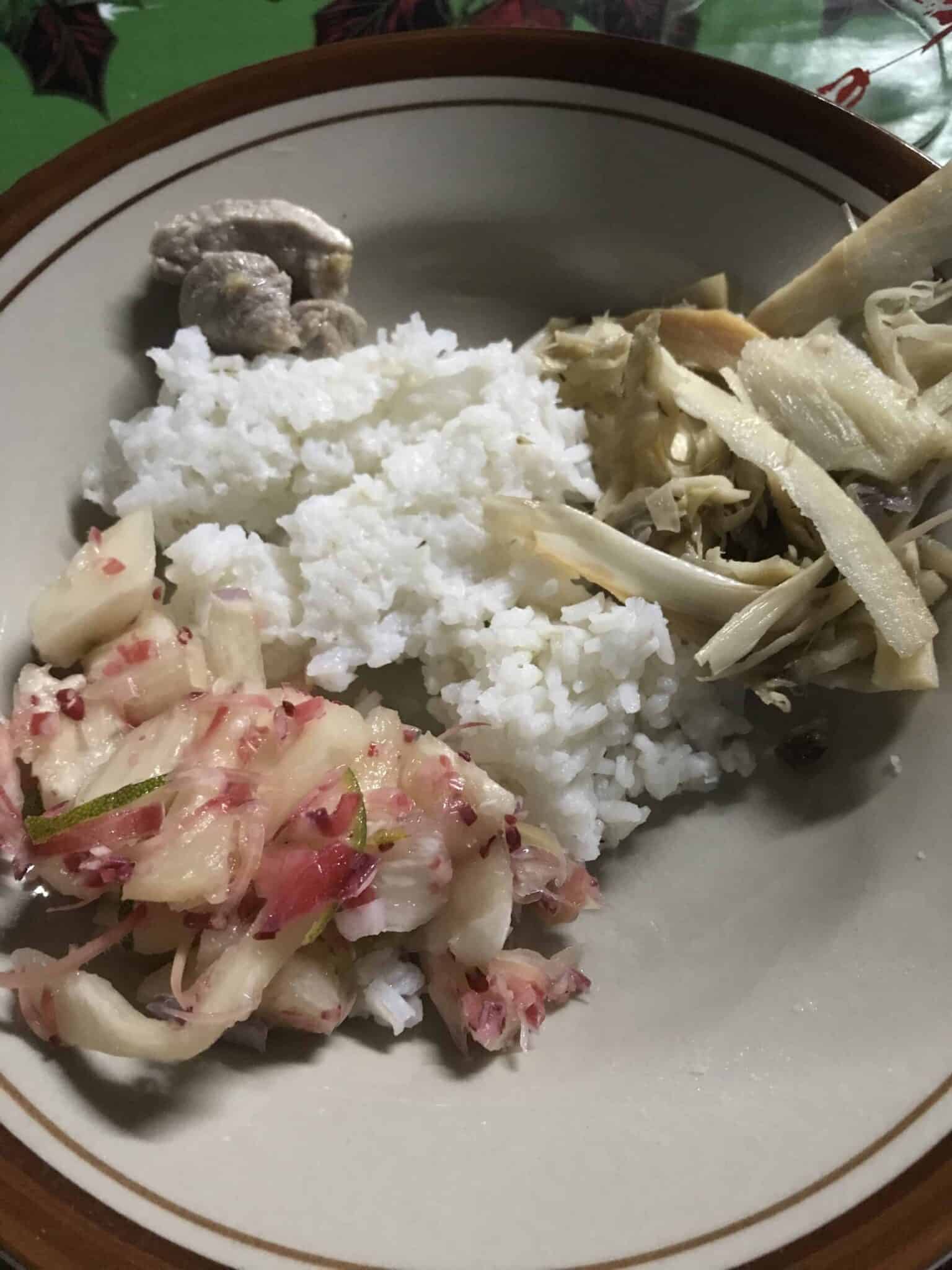 Saloma Village Stay: Authentic Borneo Day Trip Review