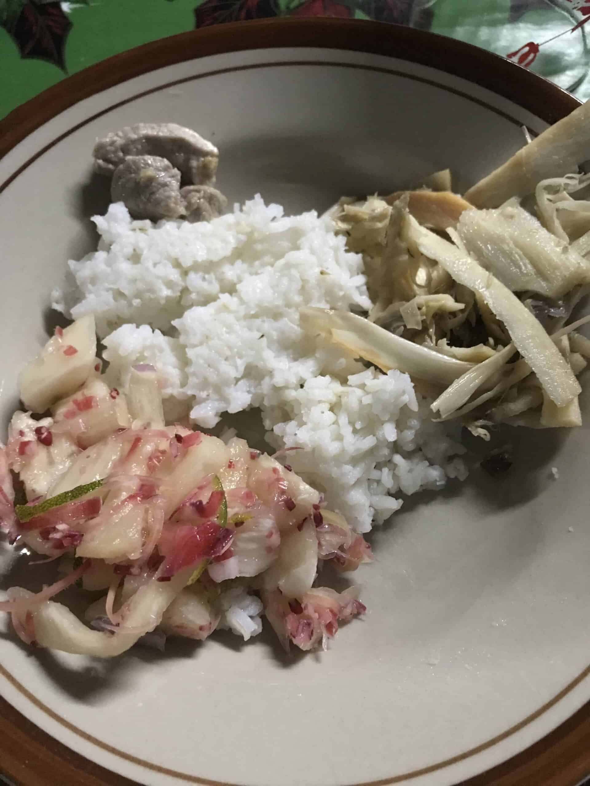 Saloma Village Stay: Authentic Borneo Day Trip Review